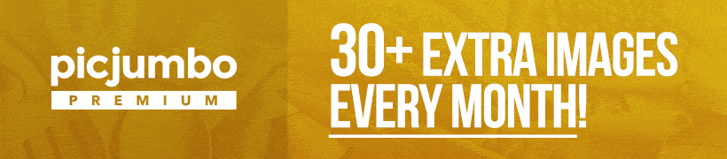 picjumbo: Amazing free stock photos & images