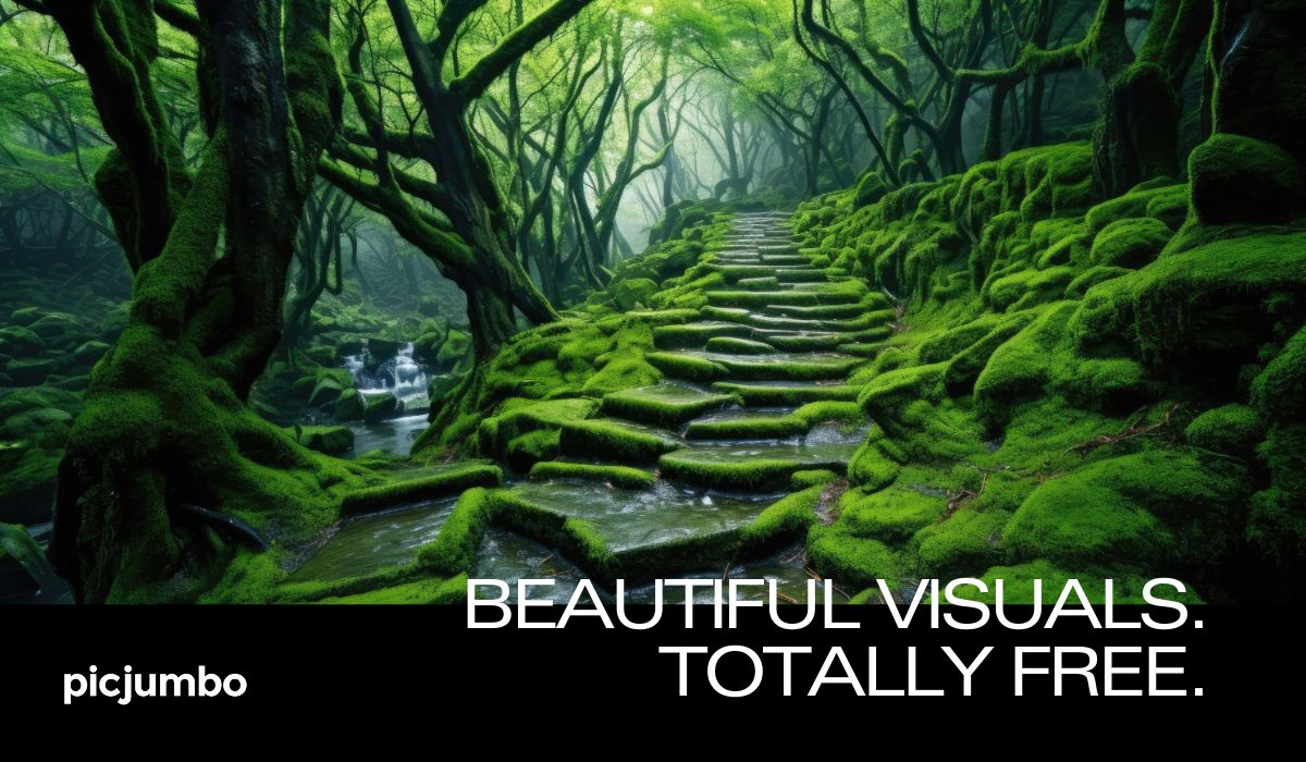 500+ Royalty Free Images to Download | picjumbo