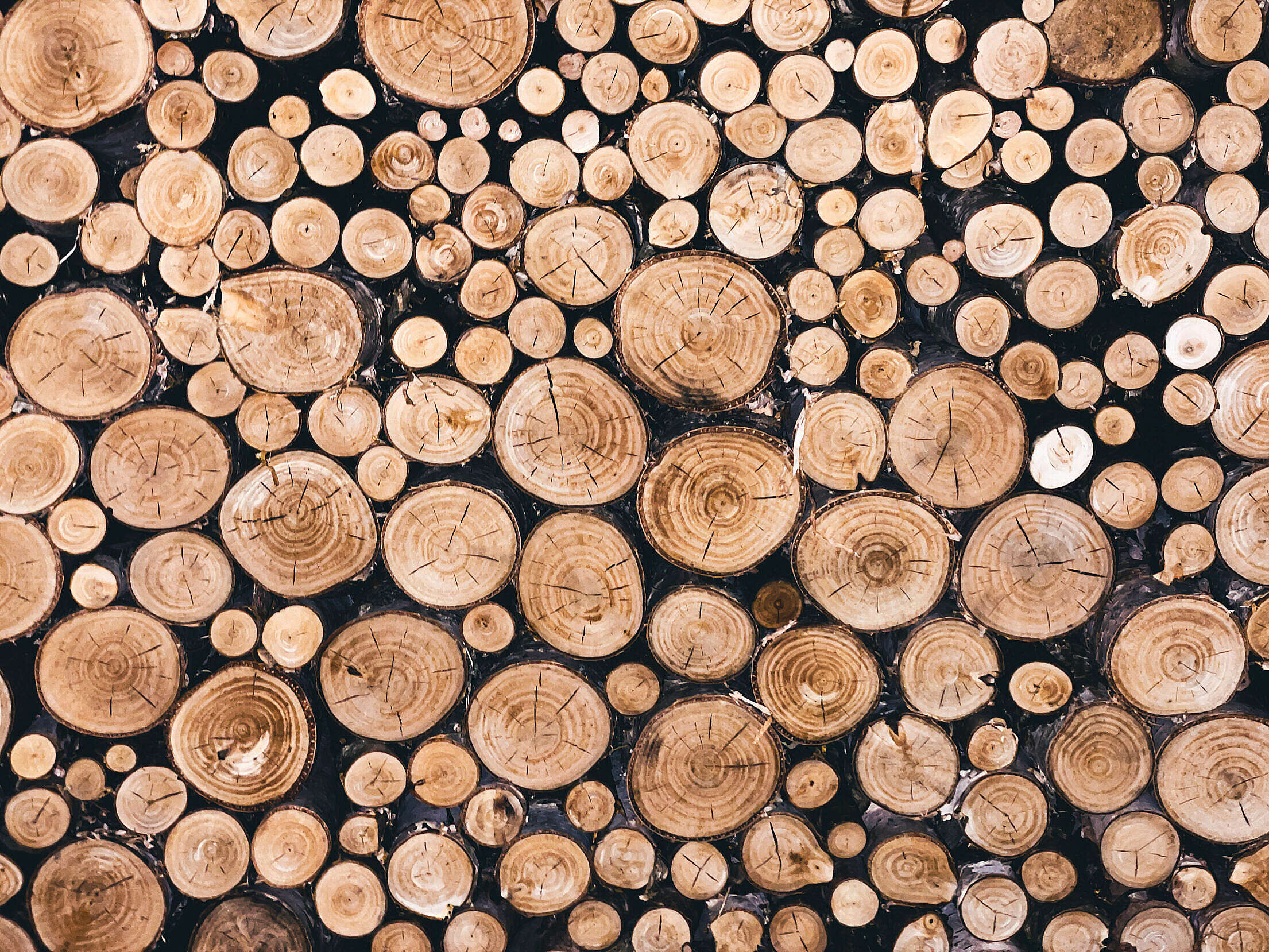 Beautifully Stacked Pile of Fire Wood Free Stock Photo | picjumbo