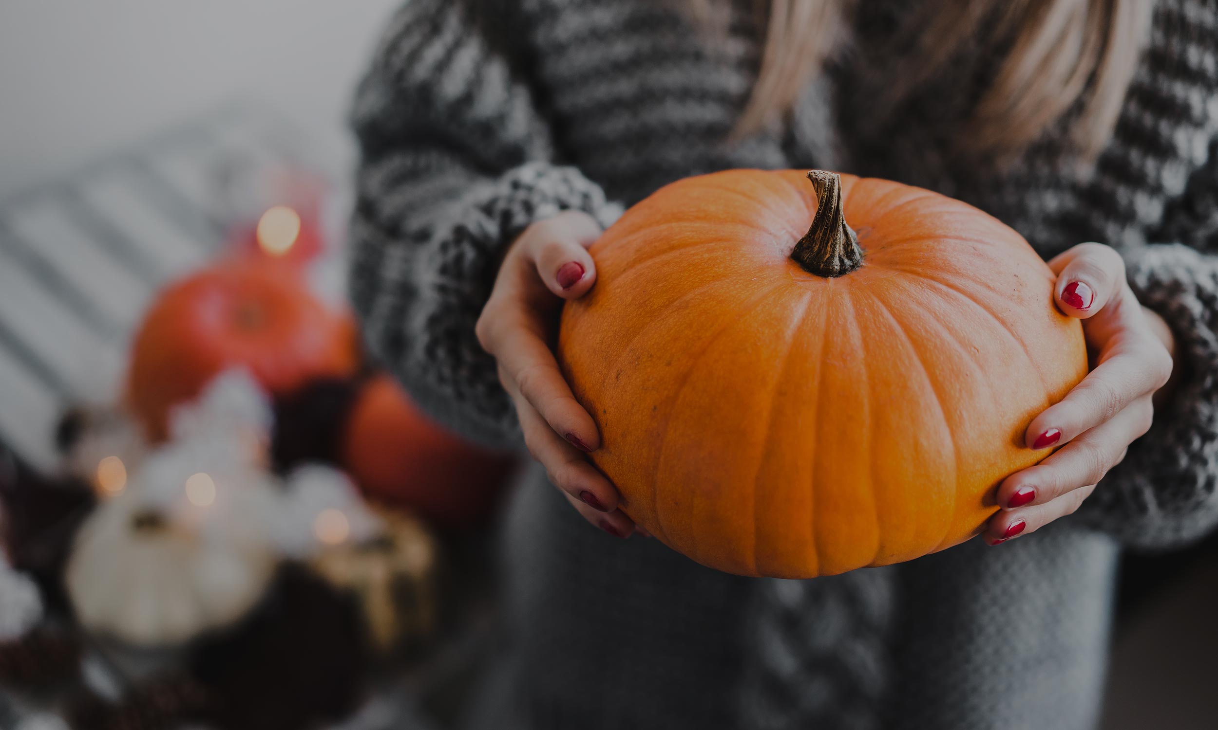 Heap of Pumpkins in a Metal Bath Free Stock Photo | picjumbo