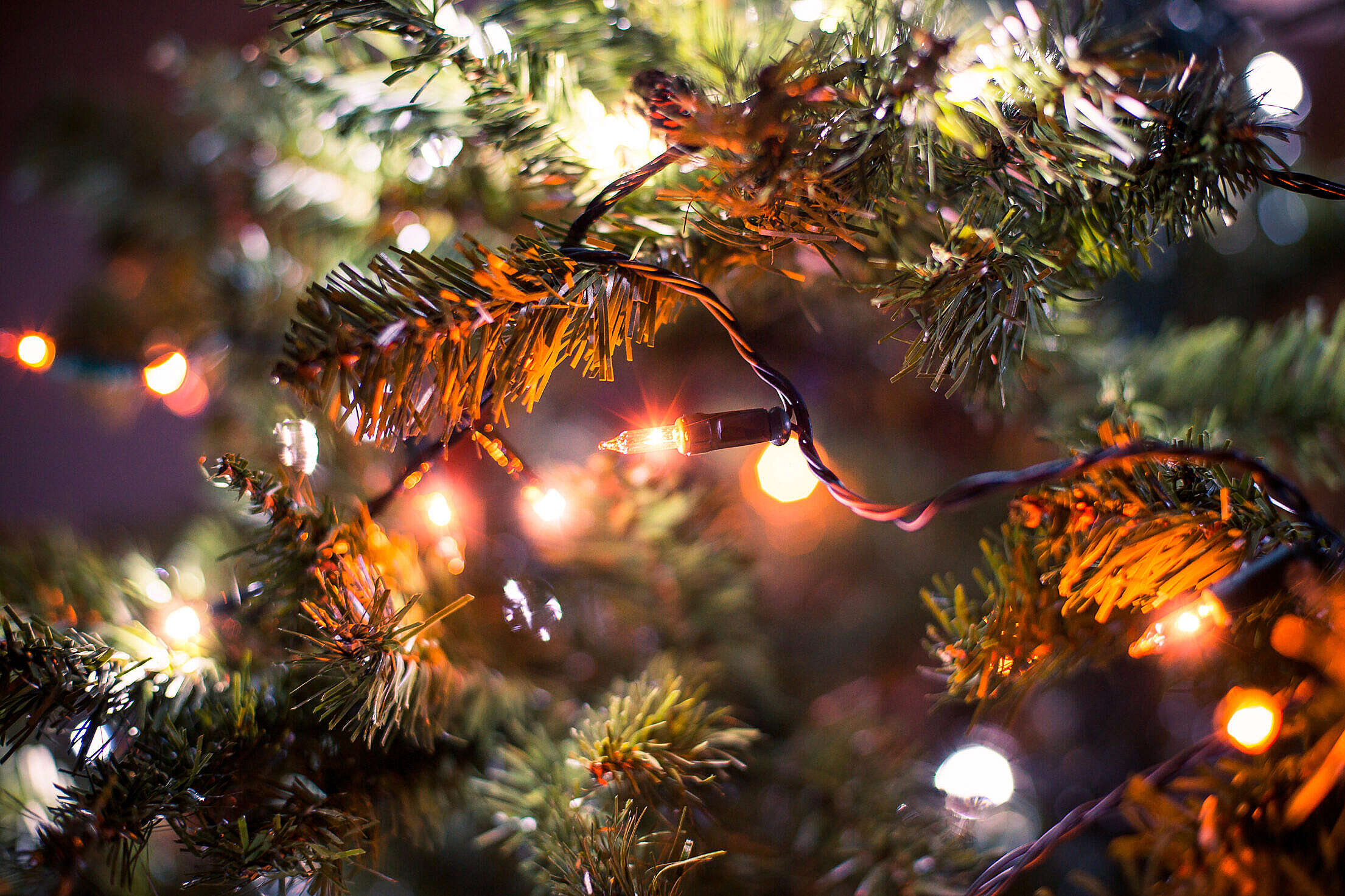 Christmas Lights Close Up Free Stock Photo | picjumbo