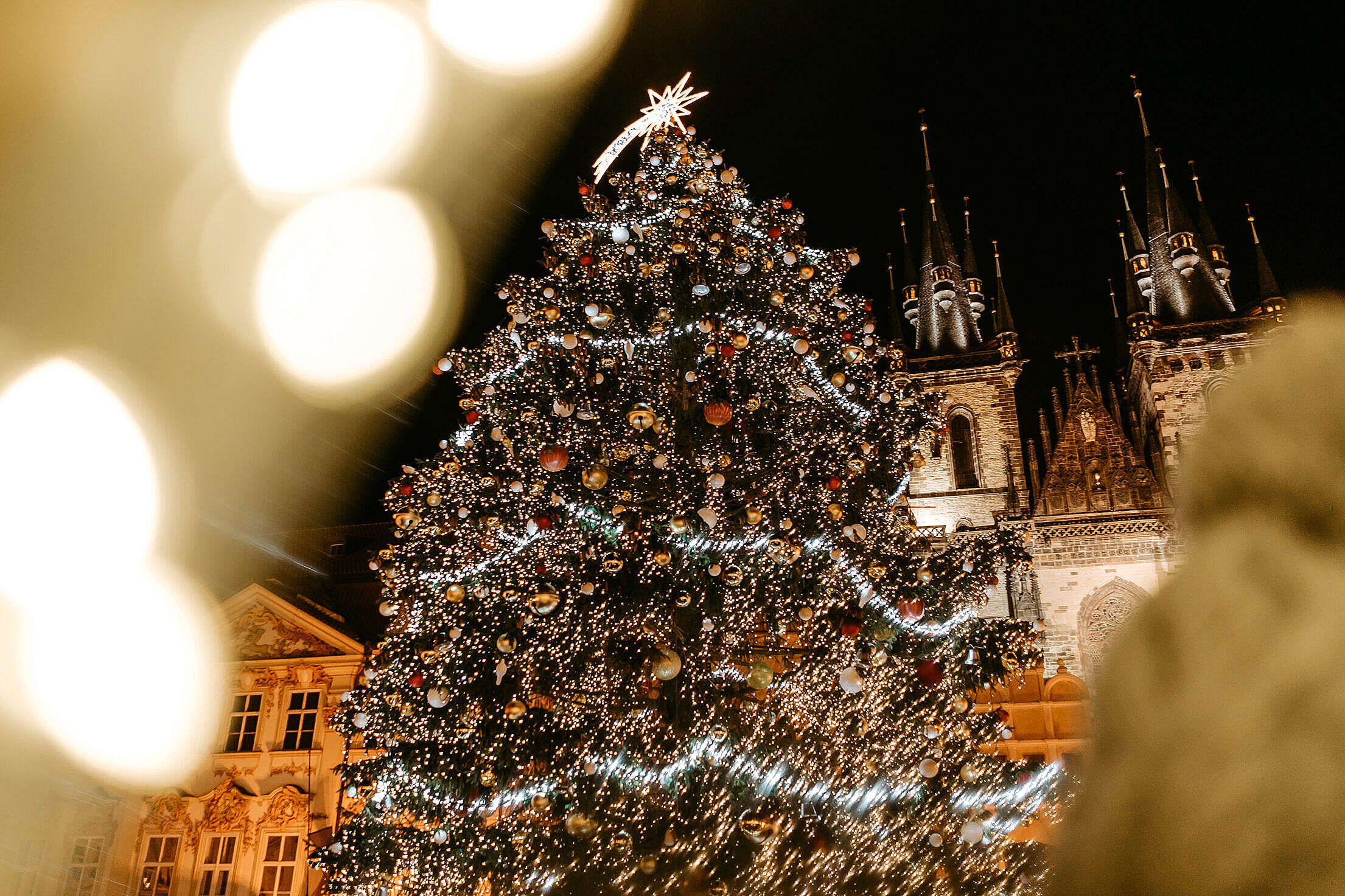 Christmas Tree on Prague Old Town Square Free Stock Photo | picjumbo