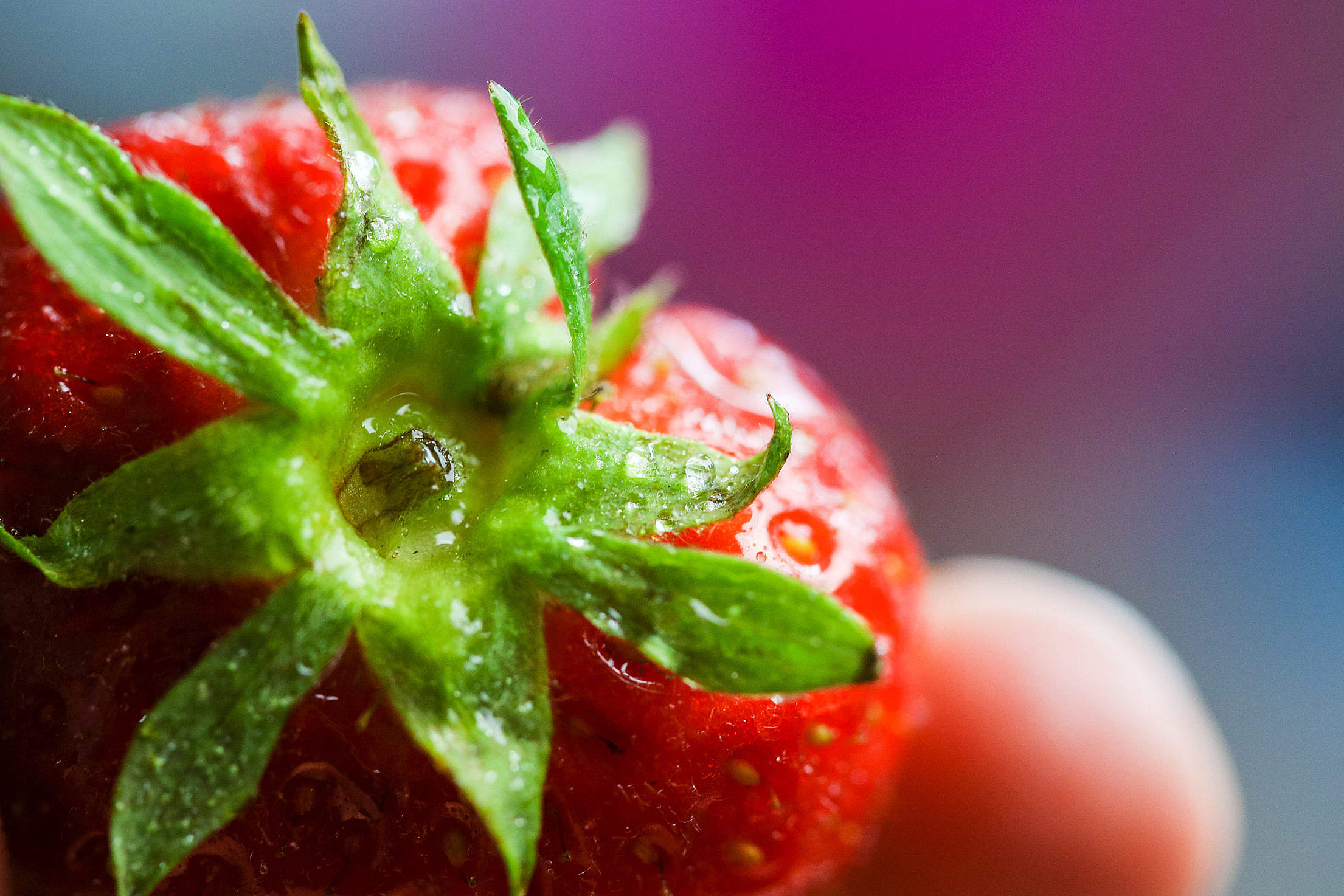 Colorful Strawberry Close Up Free Stock Photo | picjumbo