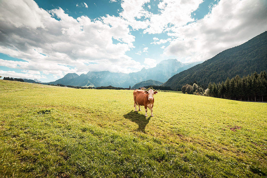 100+ Farmers Free Photos and Images | Page 5 of 5 | picjumbo