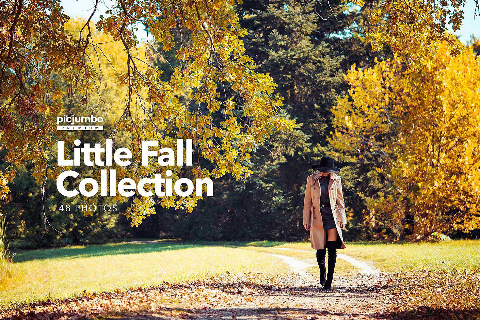 Little Fall Collection Stock Photo Collection | picjumbo