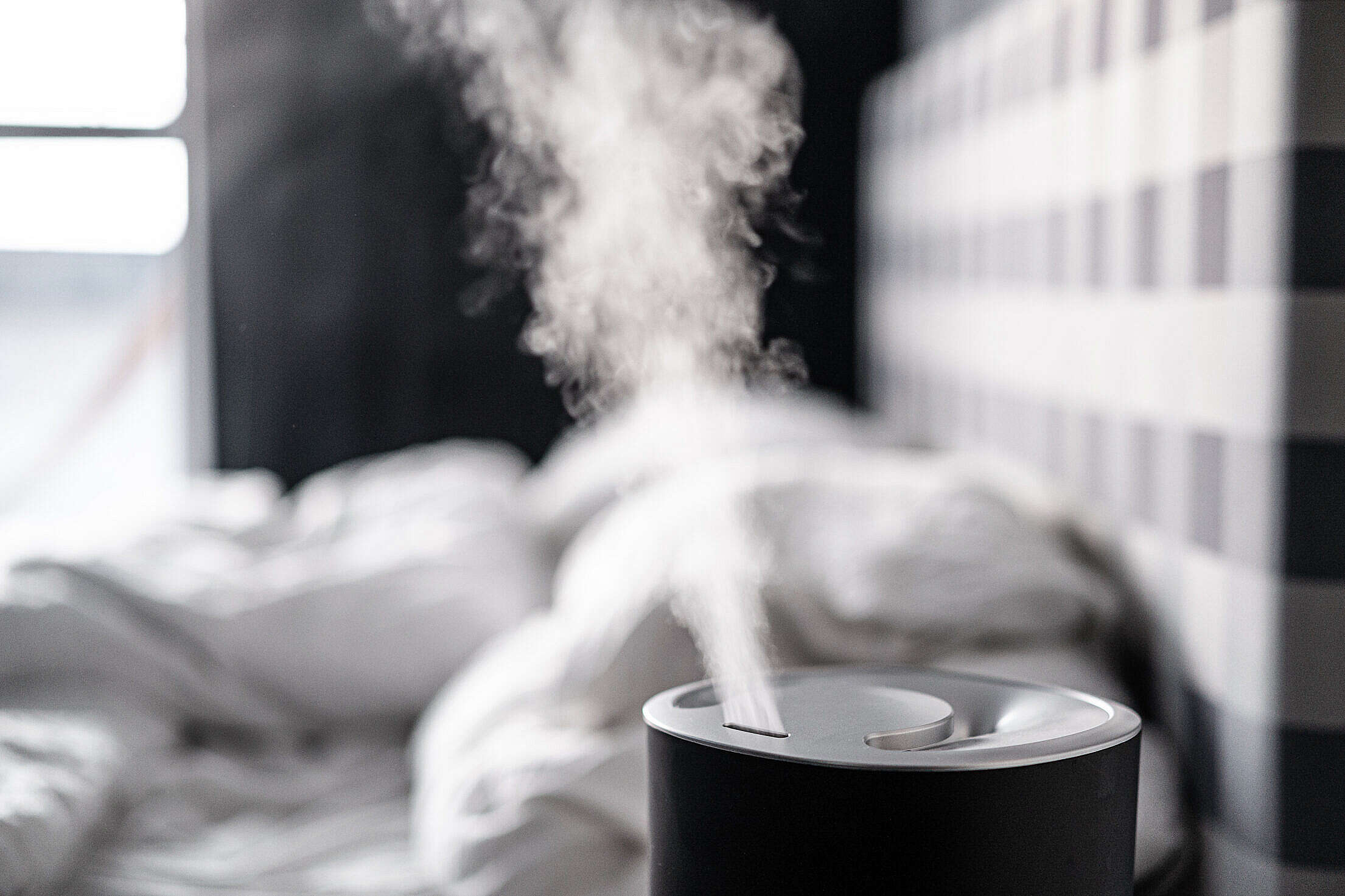 Fighting Dry Air with Humidifier at Home Free Stock Photo | picjumbo