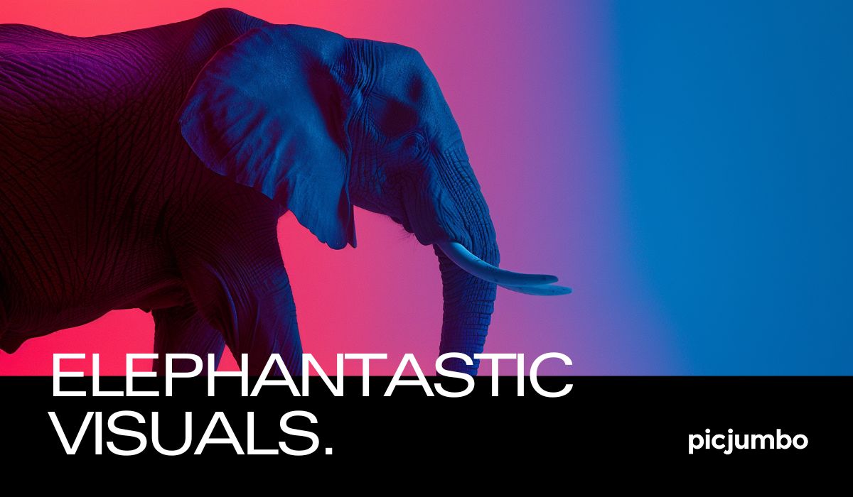 200+ Free Stock Photos & Images