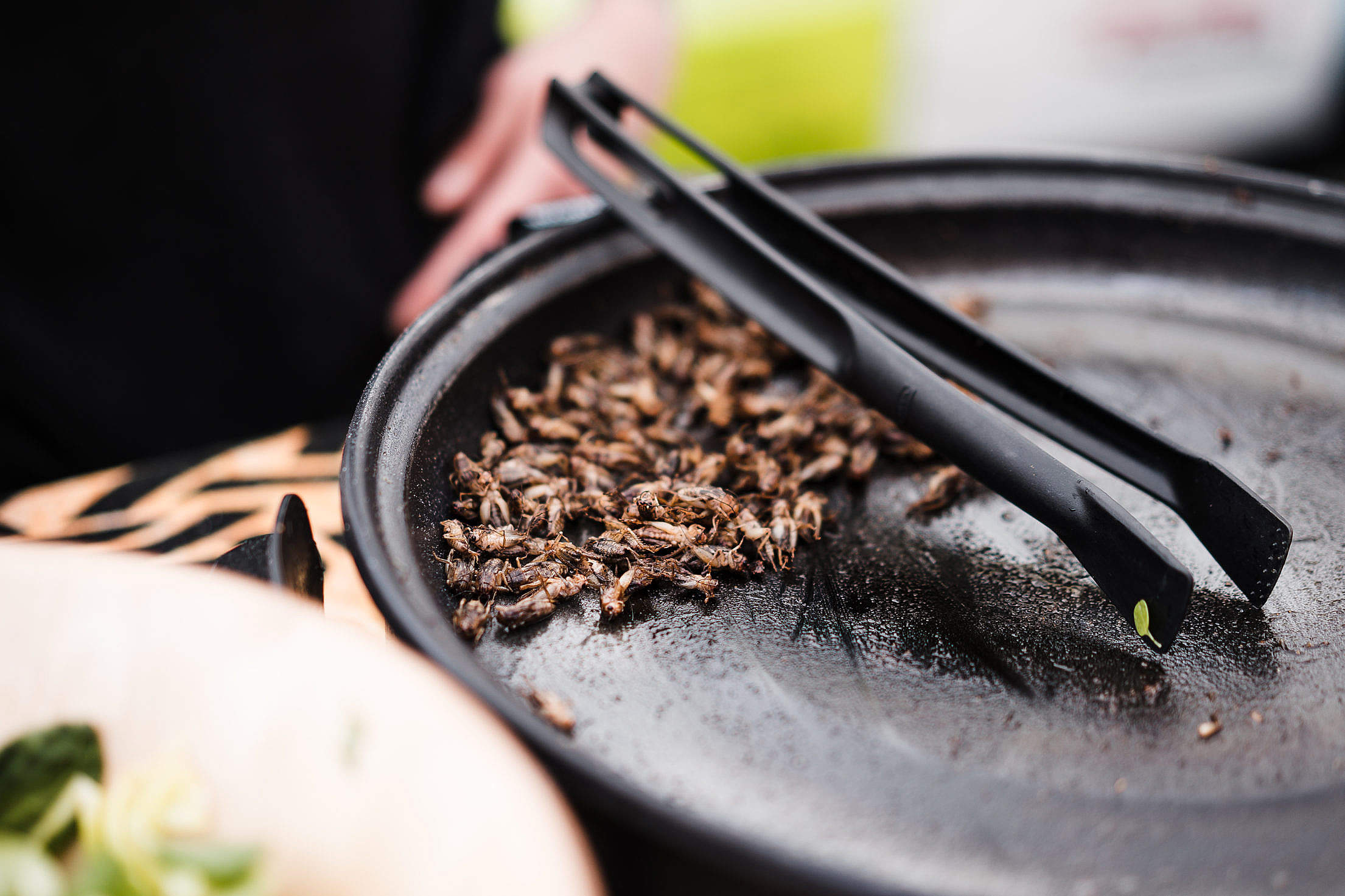 Fried Insects Beetles Traditional Exotic Asian Food Free Stock Photo ...