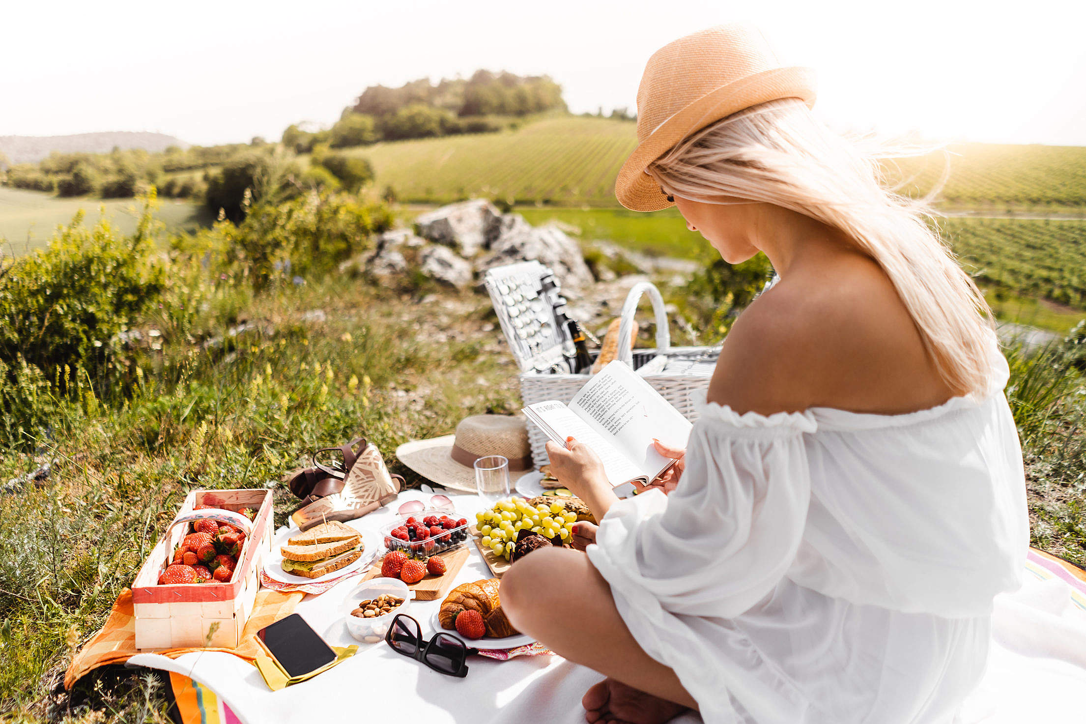Girl Reading at a Picnic Free Stock Photo | picjumbo