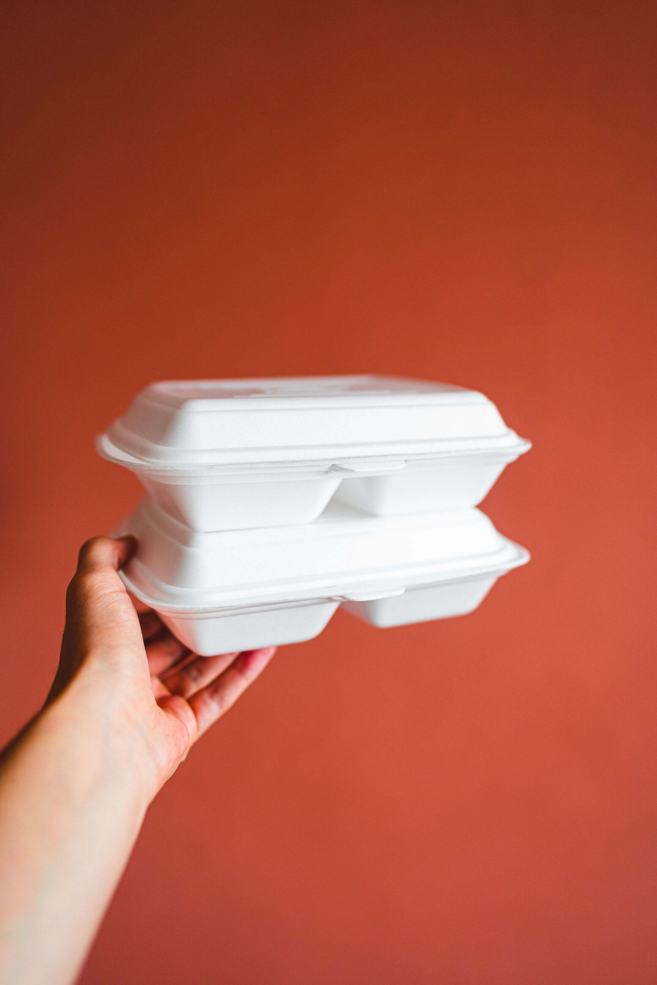 Hand Holding Food Boxes Free Stock Photo | picjumbo