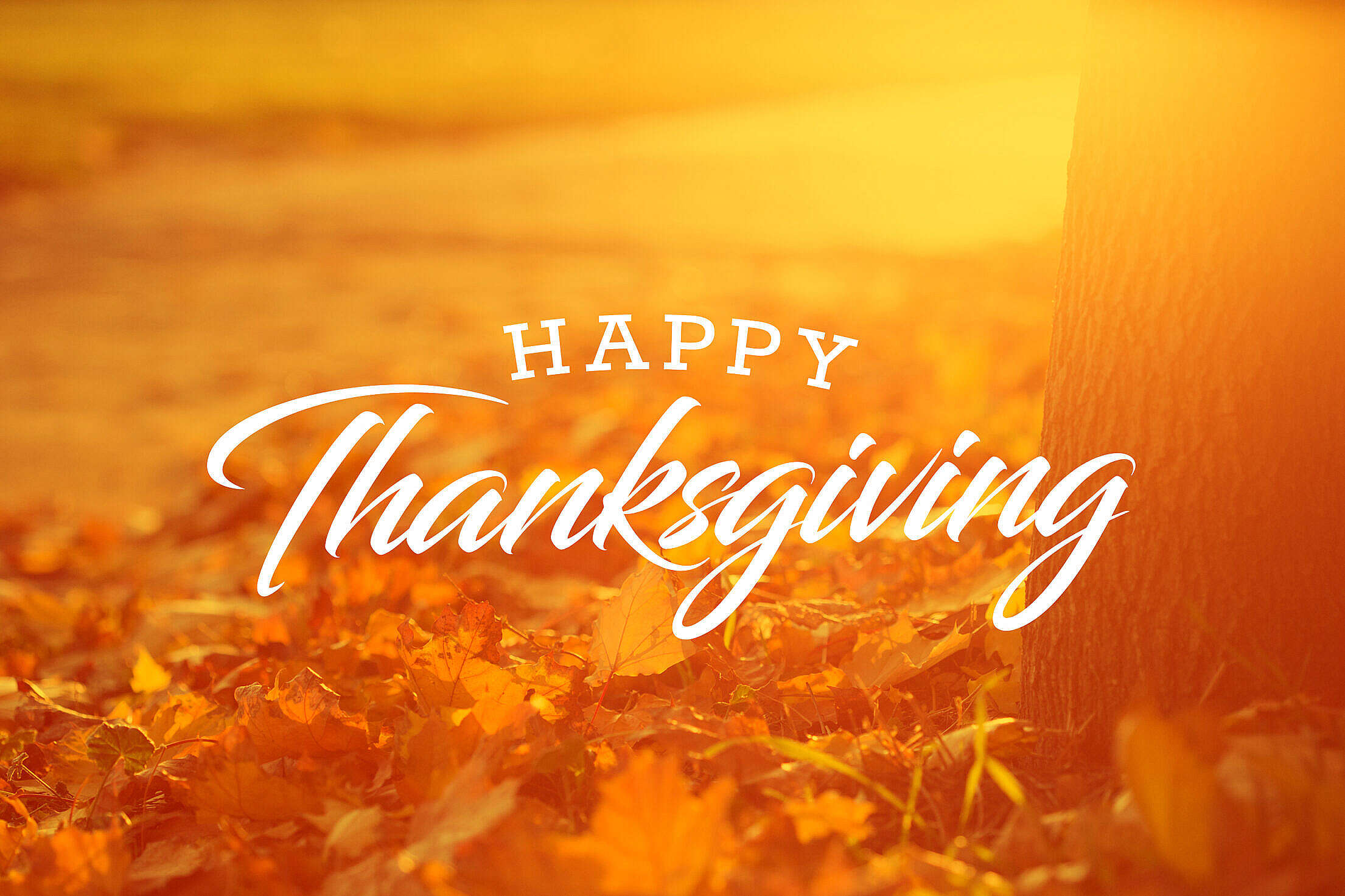 Happy Thanksgiving Visual Lettering Free Stock Photo | picjumbo