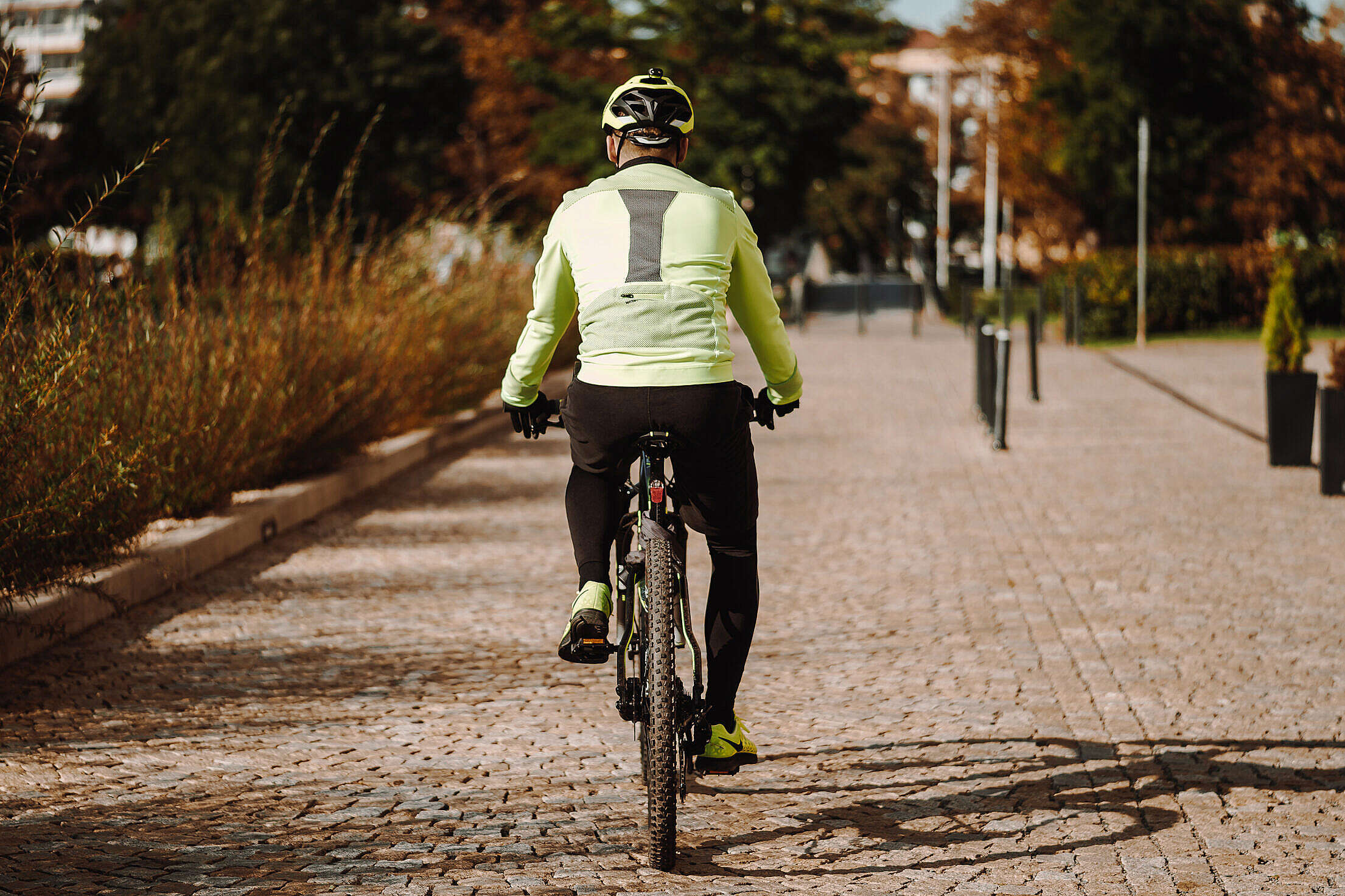 Man on a Bike in Fall Free Stock Photo | picjumbo