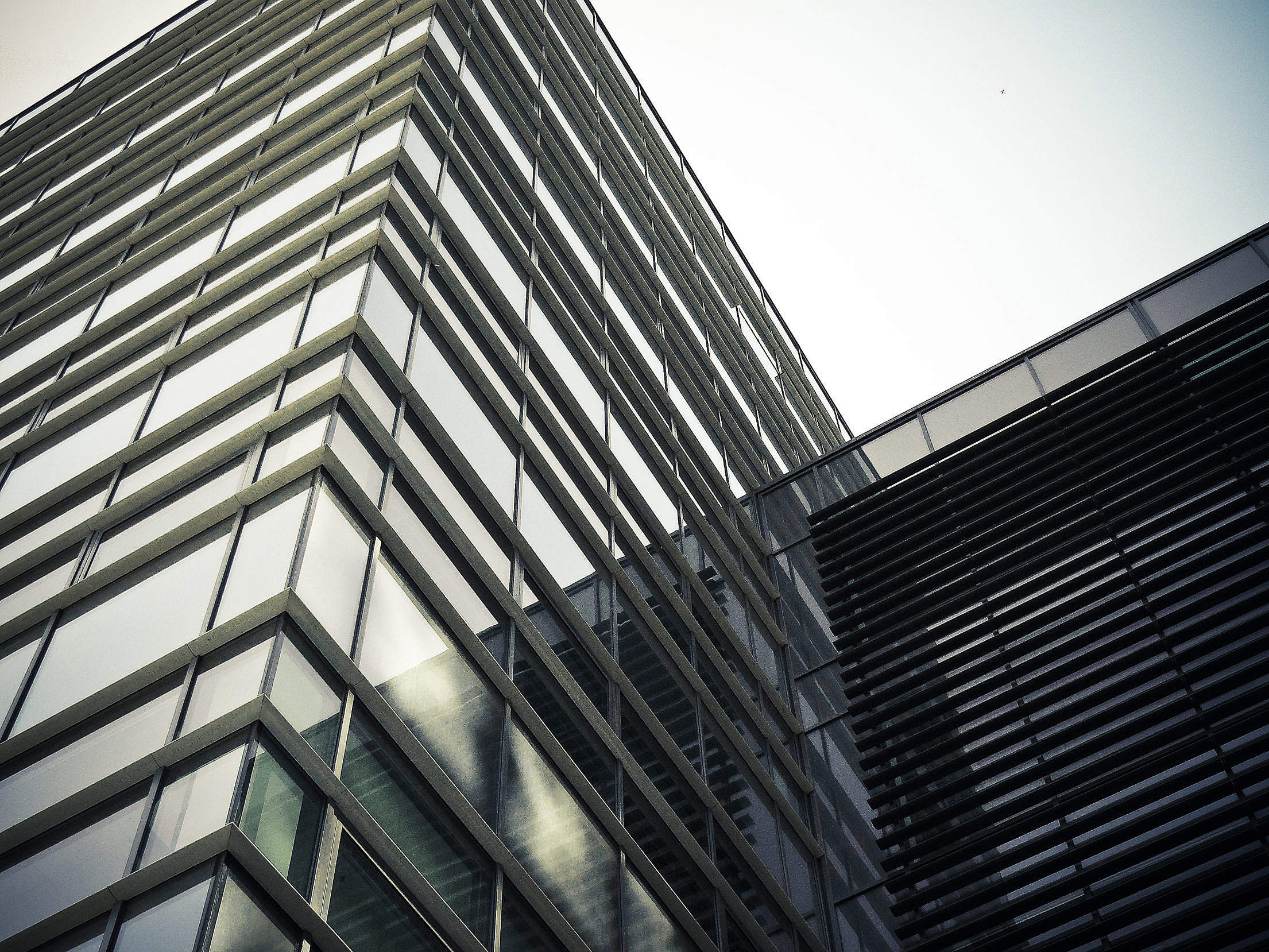 Modern Building Windows Free Stock Photo | picjumbo