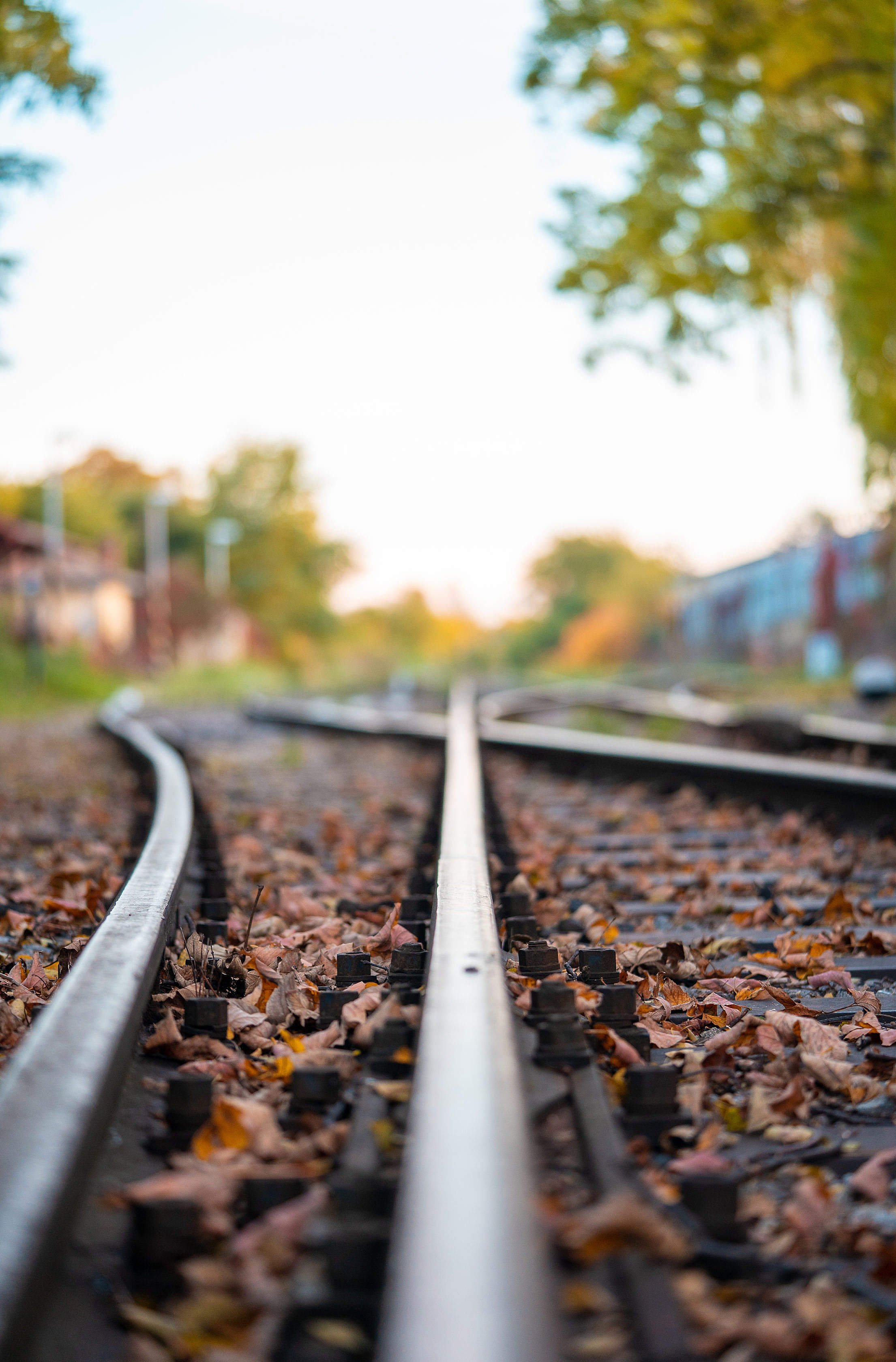 Train Tracks Close Up Free Stock Photo | picjumbo