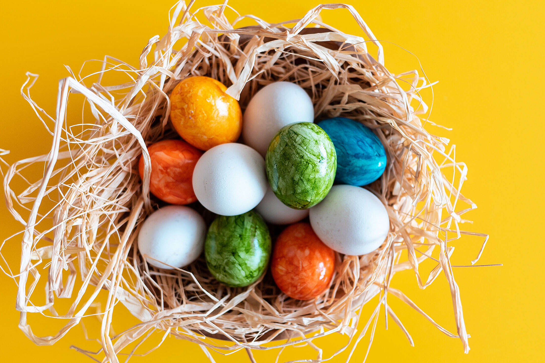 White & Colored Easter Eggs Free Stock Photo | picjumbo