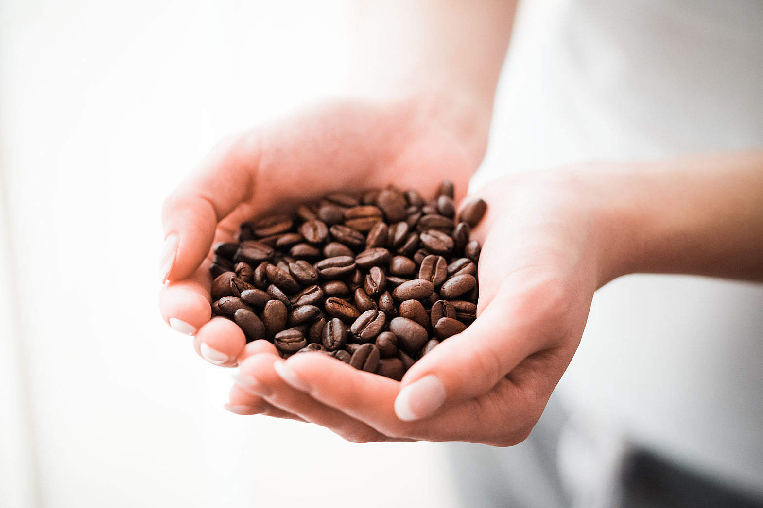 Woman Holding a Handful of Coffee Beans Free Stock Photo | picjumbo