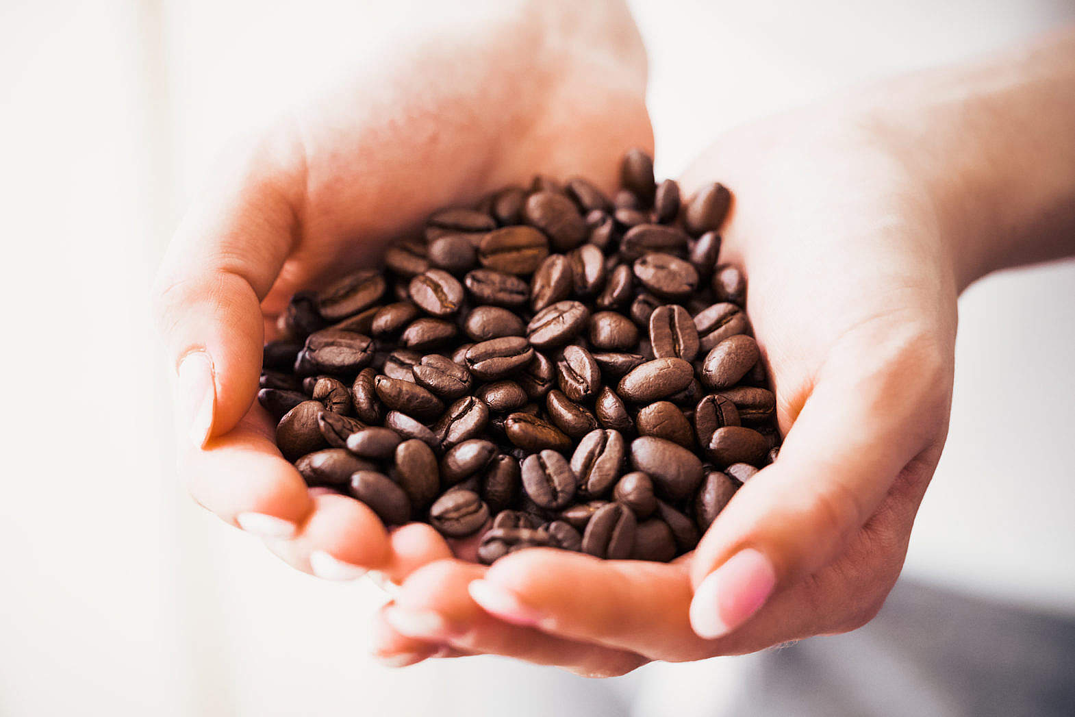 Woman Holding Handful of Roasted Coffee Beans Free Stock Photo | picjumbo