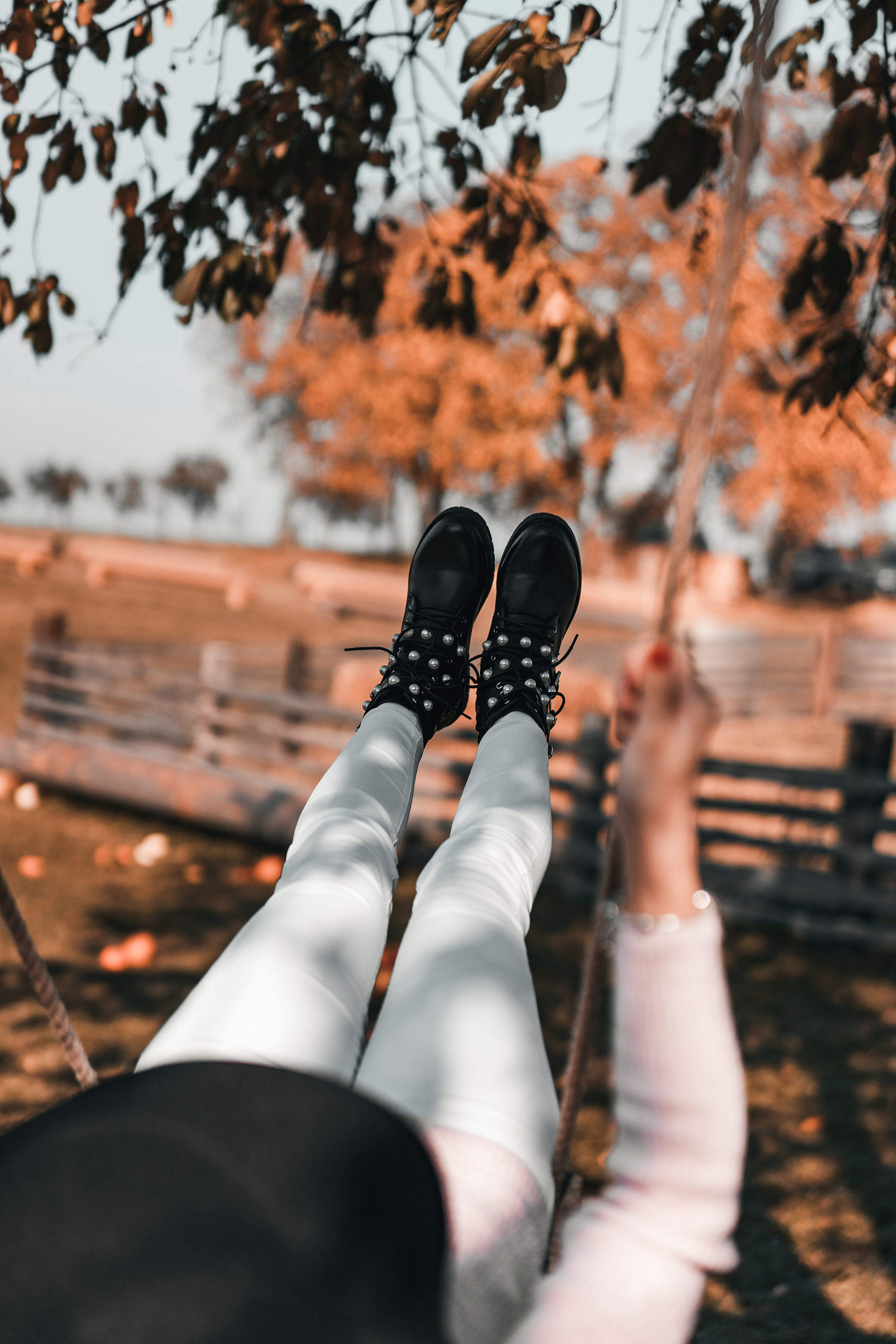 Woman on a Swing in an Autumn Nature Free Stock Photo | picjumbo