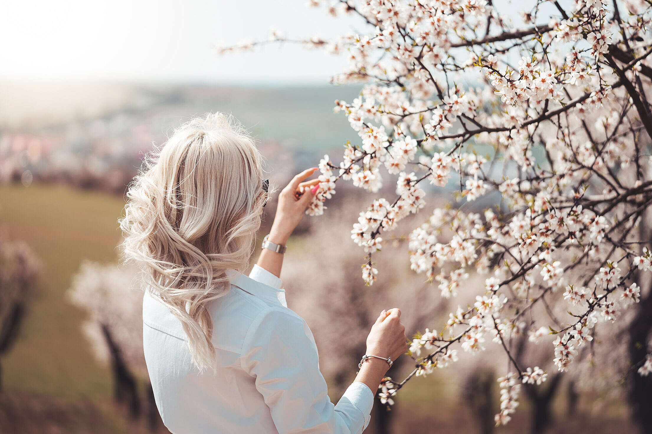 Young Woman Admiring Beauty of an Almond Tree Free Stock Photo | picjumbo